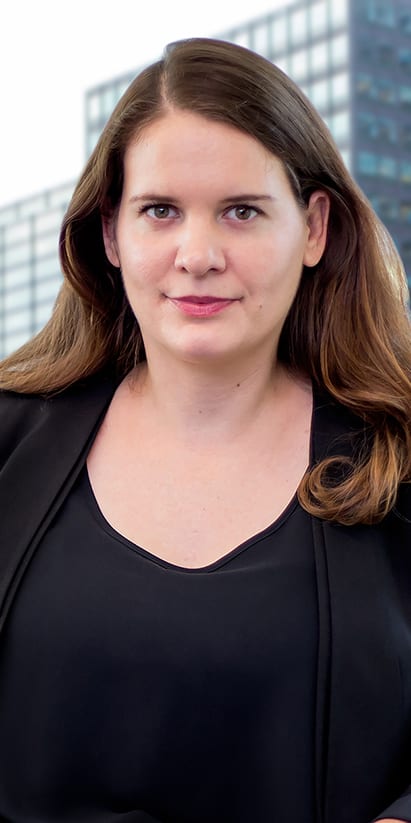 Theresa Lechner | Dussias Wittenberg Koenigsberger LLP